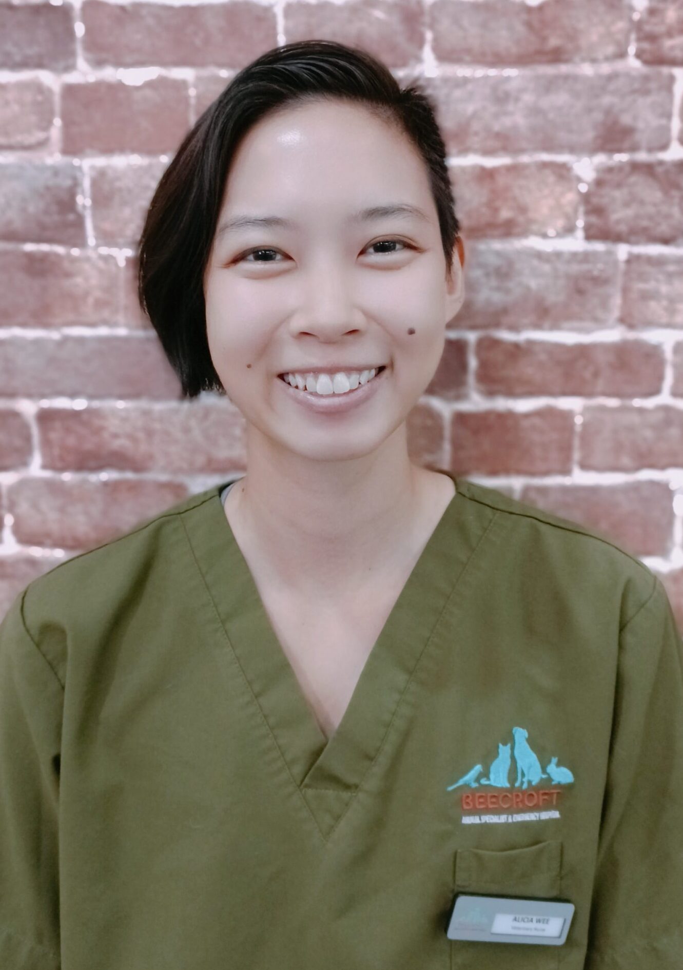 Our Team - Beecroft Animal Specialists & Emergency Hospital