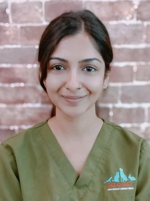 Our Team - Beecroft Animal Specialists & Emergency Hospital